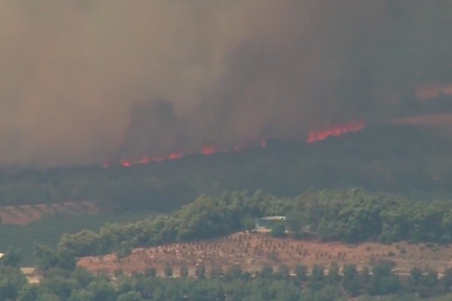 Brush fire erupts in north San Diego County - 10News.com KGTV-TV San Diego