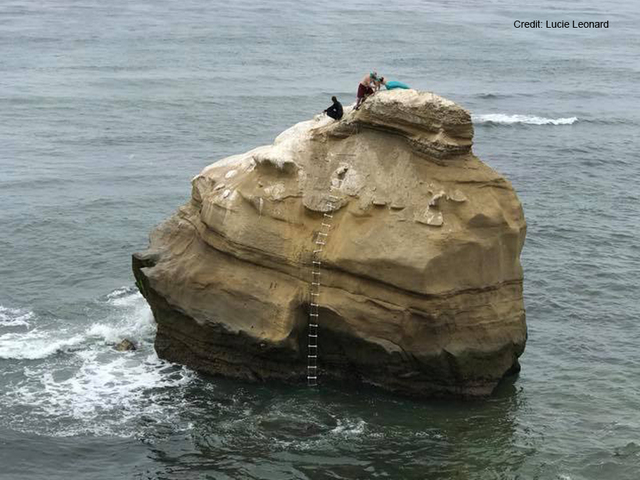Mer-mystery: Did these two people install the Sunset Cliffs mermaid ...