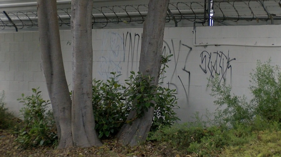 Countywide effort to end graffiti - 10News.com KGTV-TV San Diego