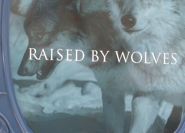 New speakeasy called Raised by Wolves creating buzz at La Jolla mall ...