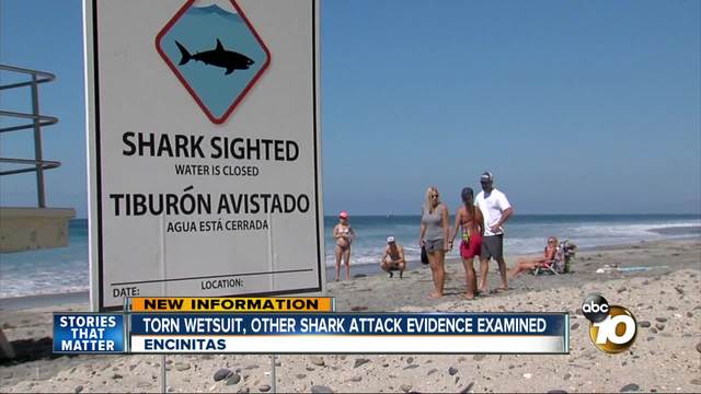 Experts gather evidence in hopes of identifying shark that attacked boy ...