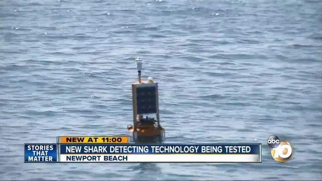 New shark detecting technology being tested - 10News.com KGTV-TV San Diego